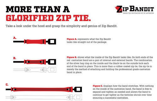 ZIP BANDIT CATTLE CASTRATION BANDS - 5 PACK CASTRATION BANDS, BANDER ...