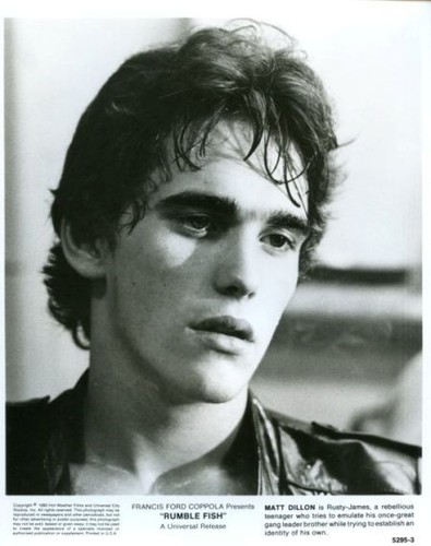 RUMBLE FISH -1983- Original 8x10 Publicity Photo of handsome MATT ...