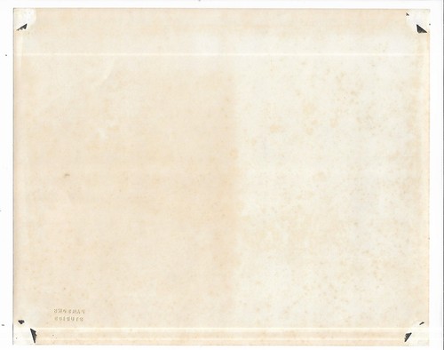 1967 Finish Line Photograph Harness Racing Harrington Raceway Delaware ...