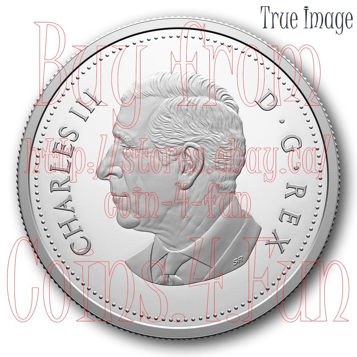 2024 Silver Dollar RCAF Royal Canadian Air Force 100th Anniversary $1 ...