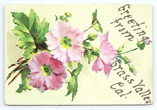 Postcard Greetings From Grass Valley California CA Glitter Mica ...