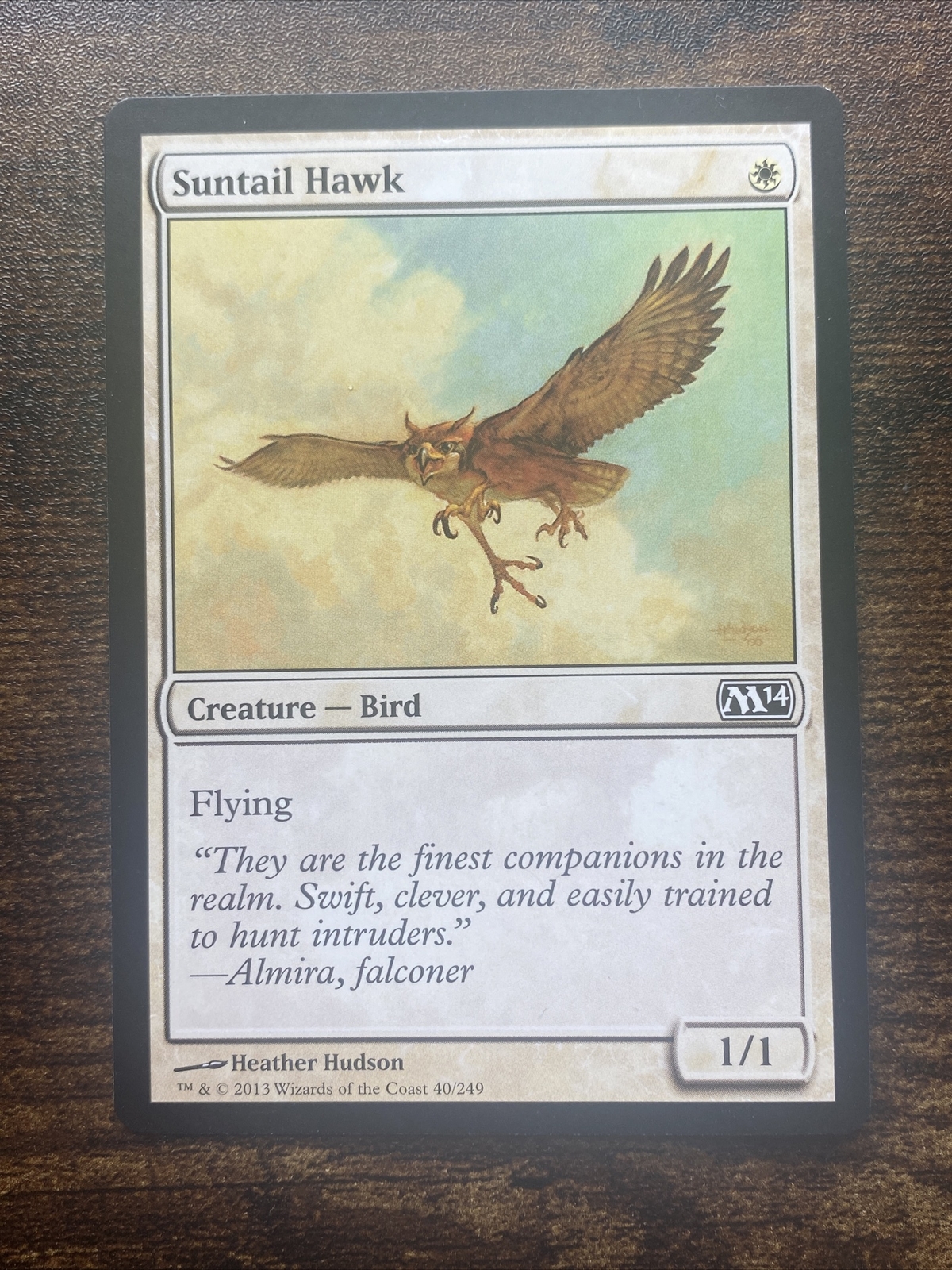 Suntail Hawk 40/249 M14 Magic 2014 MTG Magic The Gathering D9398* | eBay