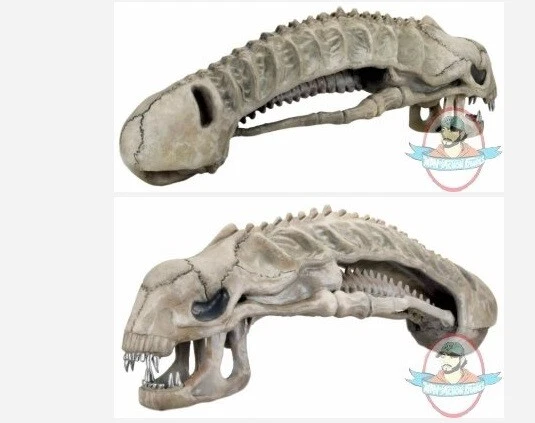 Xenomorph Skull Replica