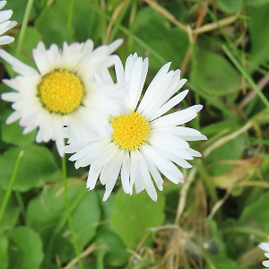 SUN AND MOON RETAIL | eBay Stores