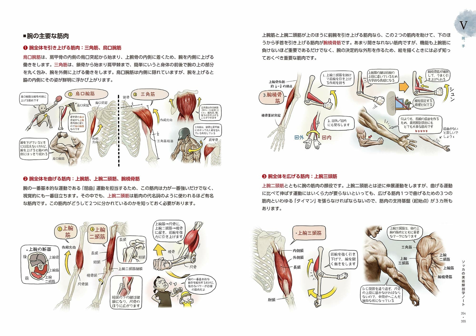 Stonehouse's Anatomy Note JP Socca Suk Jong Hyun How to Draw Human body ...