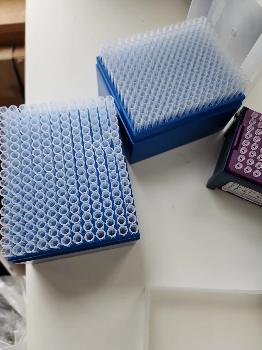 1000UL Pipette Tip Filter Pipette Tips Rack For Lab China, 57% OFF