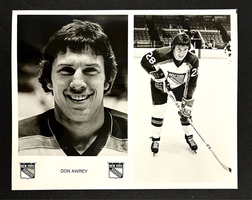 1977-1978 New York Rangers NHL Hockey Don Awrey #28 Defenseman VTG ...
