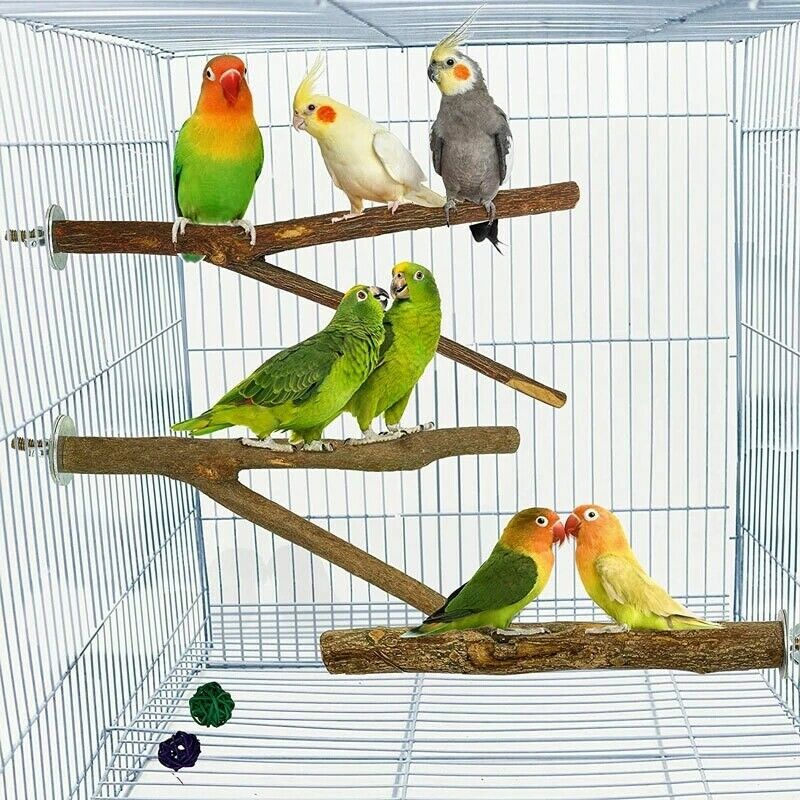 5pcs/set Wood Parrot Bird Stand Tree Branch Hanging Toys Cage Perches ...