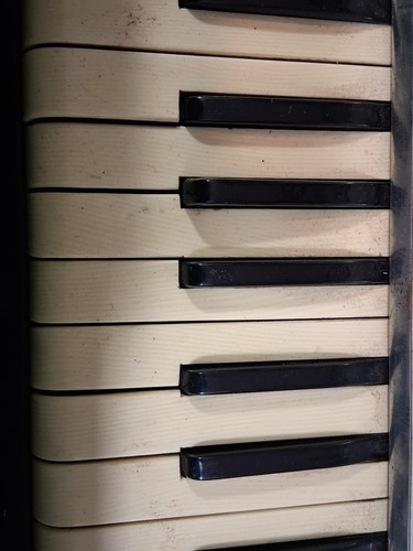 Antique Unbranded White Accordion 48 buttons 34 keys With Case For ...