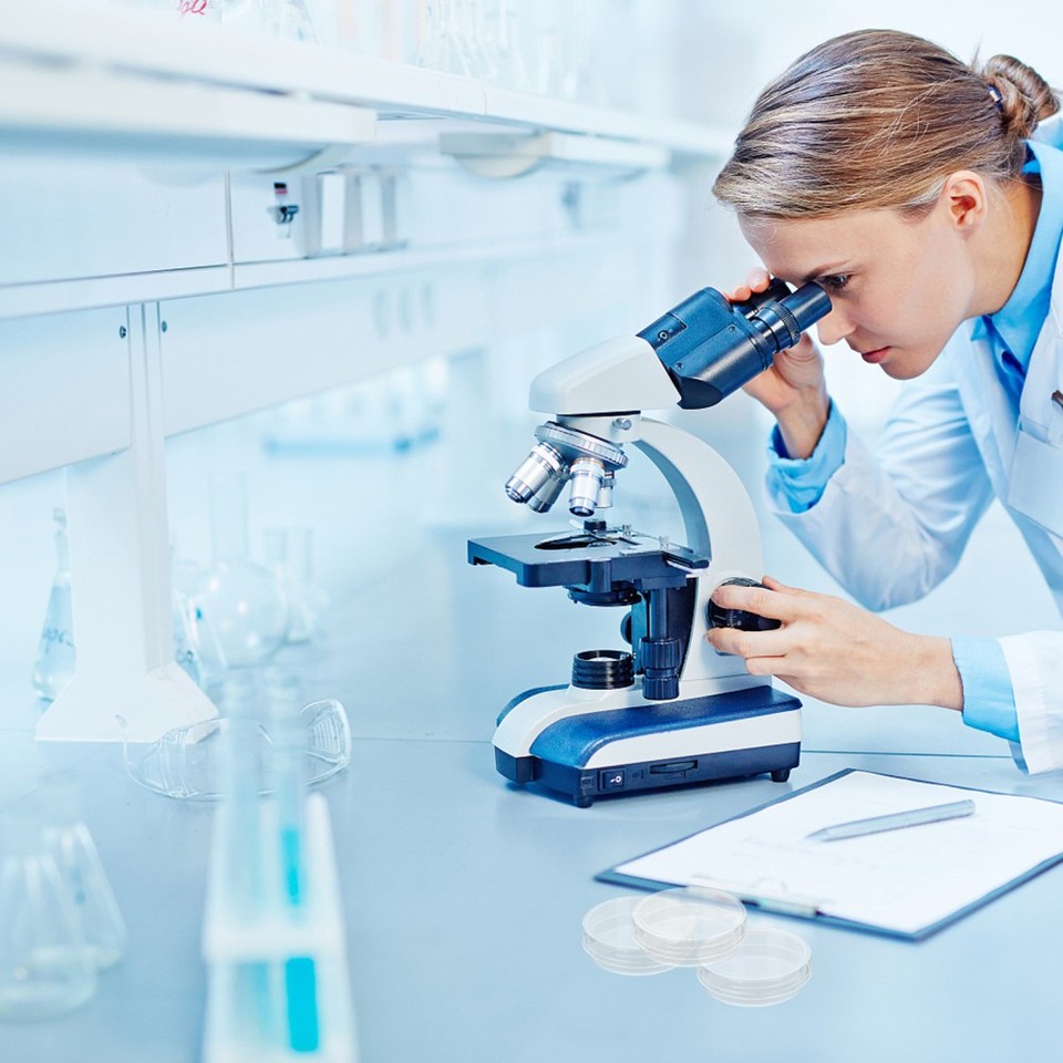 2 Pieces Petri Dish Plates Science Greenhouse Lab Experiment Clear | eBay