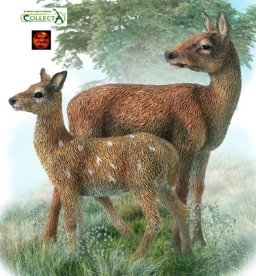 Red Deer Hind and Calf British Wildlife Toy Model Figures by CollectA ...