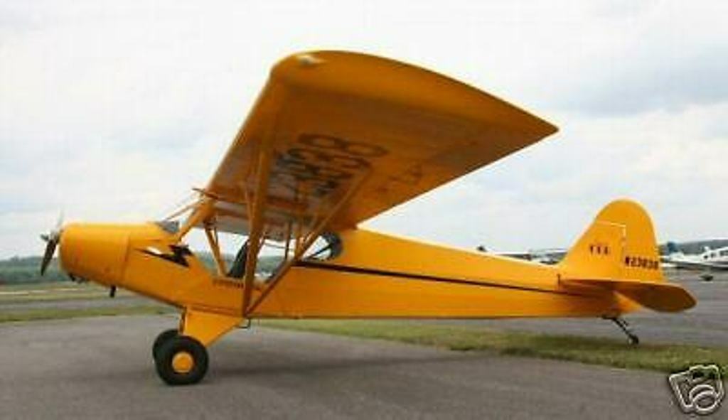 Legend Cub Special American Airplane Desk Wood Model Big New | eBay