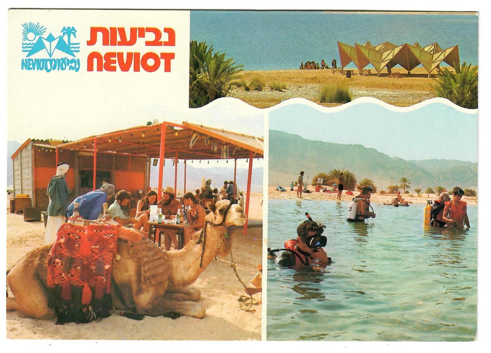 Judaica Israel Old Postcard Neviot Holiday Village Nuweibaa Sinai By ...