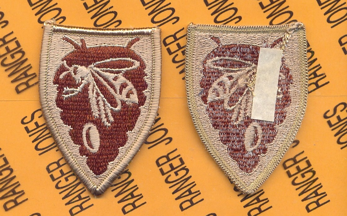 US Army North Carolina National Guard ARNG Desert DCU patch m/e | eBay