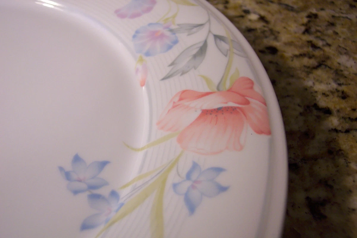American Limoges China Patterns