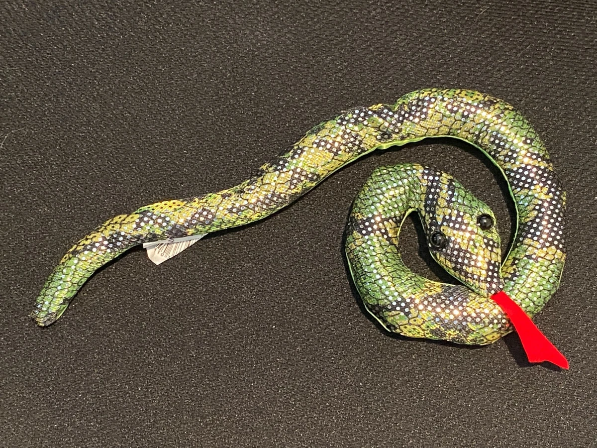 Black And Green Python