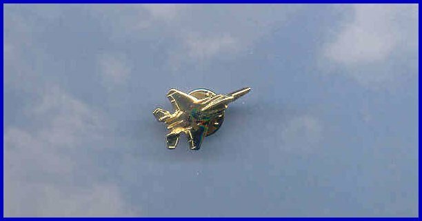 F-15 Pin Aircraft Airplane Aviatrix Aviator 99's Made in the USA | eBay