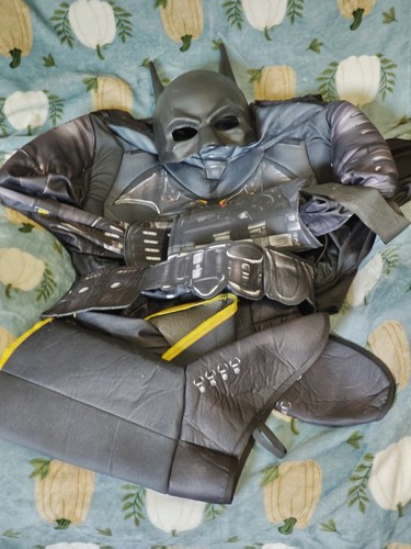 Batman Adult Male Halloween Costume One Size mask, cape, boot covers ...