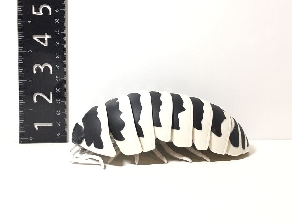 Bandai Zebra Pill Bug Roly Poly Insect Potato Bug Isopod Figure w ...