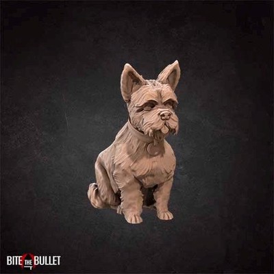 Dog | Yorkshire | Companion/Familiar Unpainted Miniature | D&D | DnD ...
