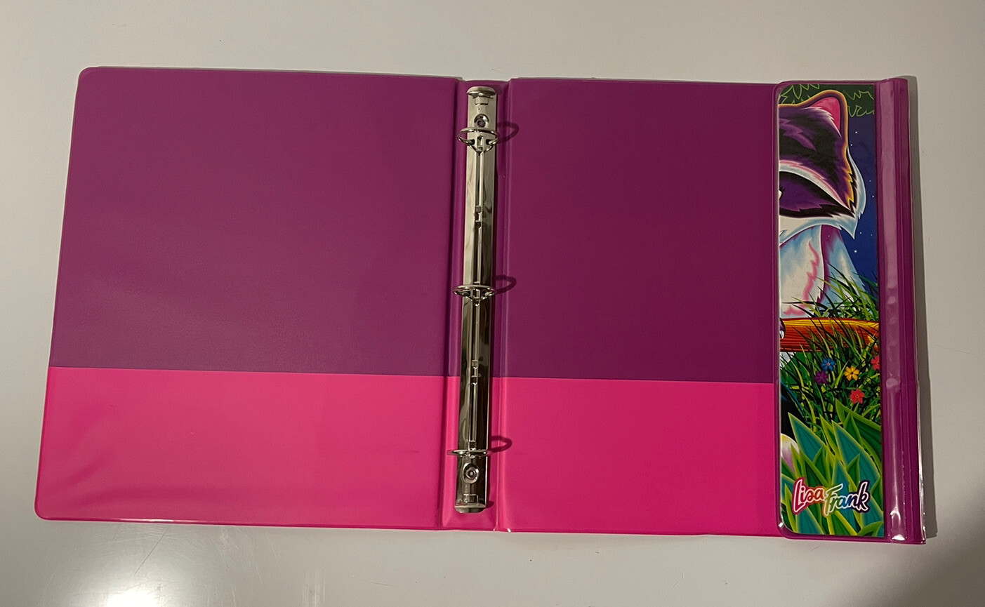 RARE Vintage 1990s Lisa Frank Raccoon Family of Four Trapper Keeper ...