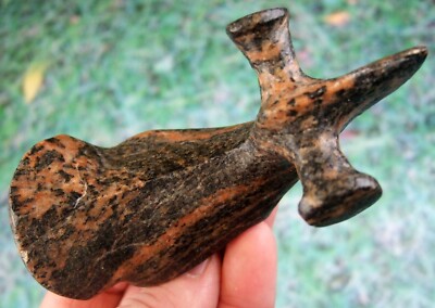 Super Fine Colorful 4 5/16" Michigan Quartz Popeyed Birdstone wt COA ...