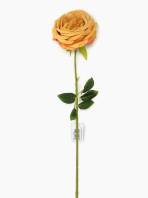 Tall Single Stem Artificial Peony Flower x 62cm - Golden Champagne ...