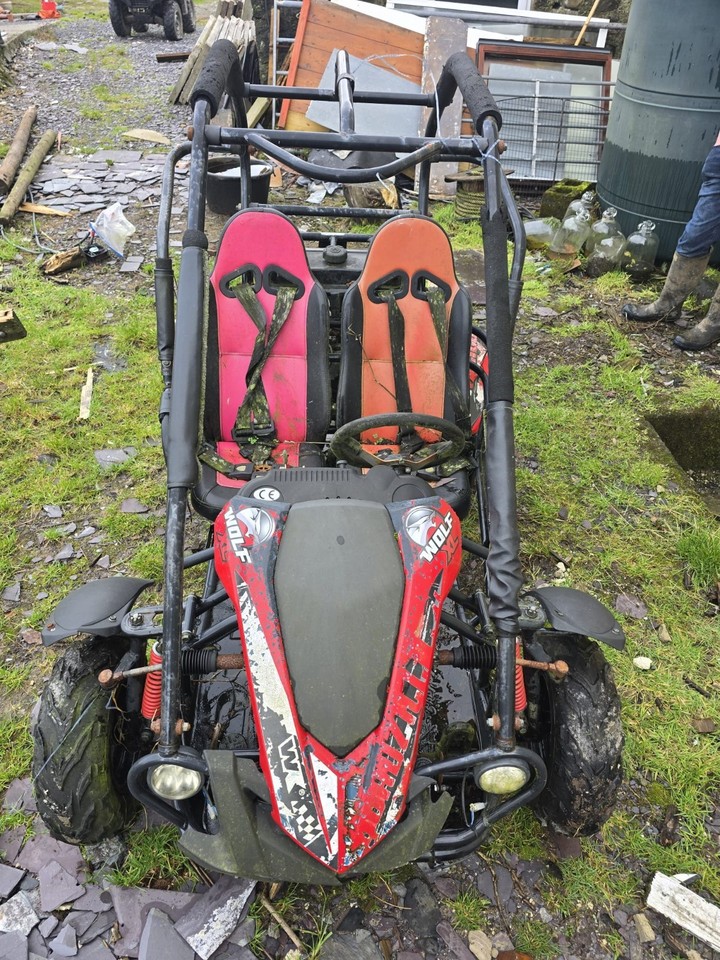 Quadzilla Wolf XL buggy - Off Road Buggy - Quad | eBay UK