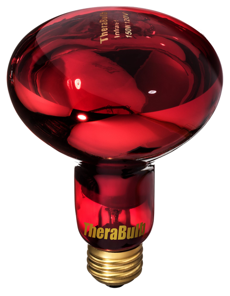 TheraBulb Near Infrared Bulb Small Form - 150W/120V - Sold by ...