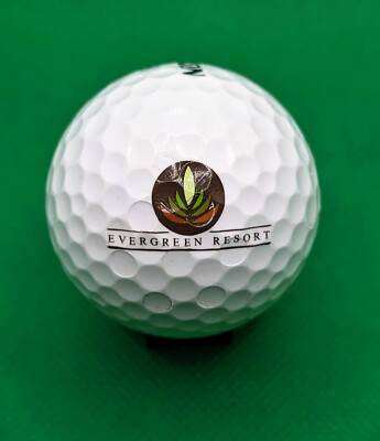Evergreen Resort Golf Course logo golf ball (Cadillac, Michigan) | eBay
