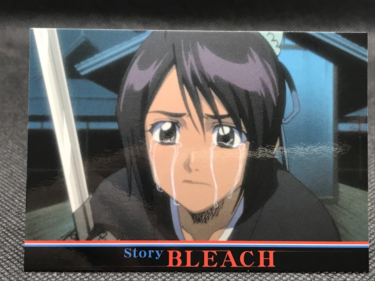 Momo Hinamori Time Skip