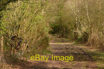 Photo 6x4 Footpath to Wytch Farm Bushey 2 c2011 | eBay UK