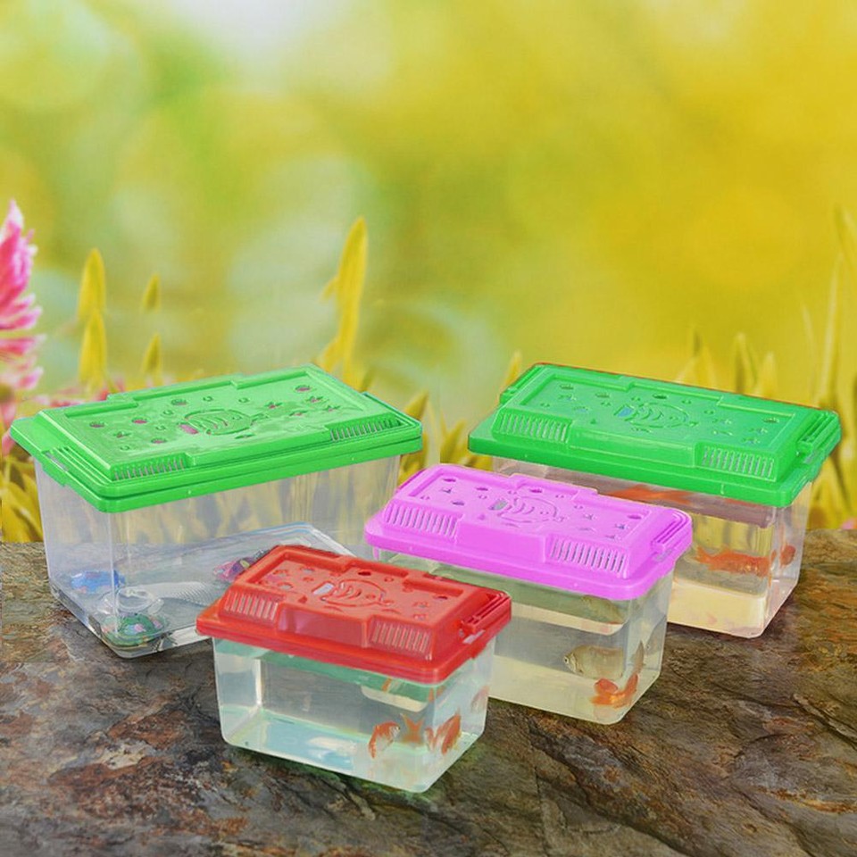 Mini Portable Fish Tank Transparent Turtle Carrier Reptile Animal Frog ...