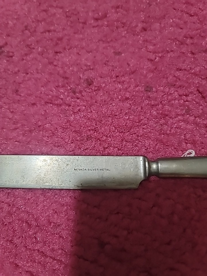9 Inch Nevada Silver Metal Butter Knife Vintage | eBay