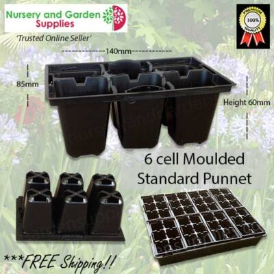 6 cell Seedling Punnet Standard -FULL BOX - (550 punnets) Moulded Thick ...