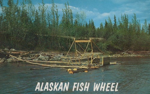 Alaskan Fish Wheel The Native Fish Wheel AK Vintage Chrome Post Card | eBay