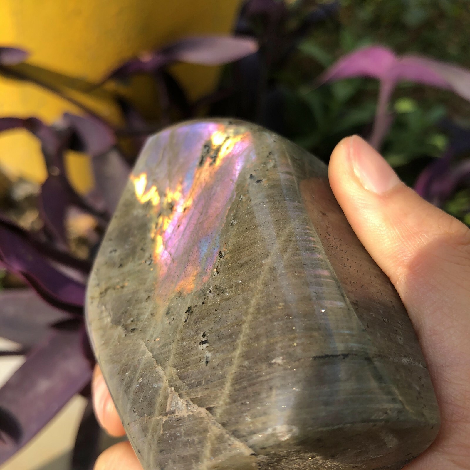 295g Natural Purple Labradorite Freeform Crystal Gemstone ...