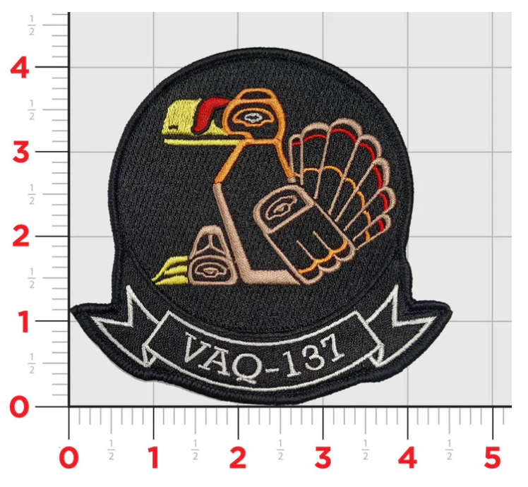 NAVY VAQ-137 ROOKS THANKSGIVING EMBROIDERED HOOK & LOOP PATCH | eBay