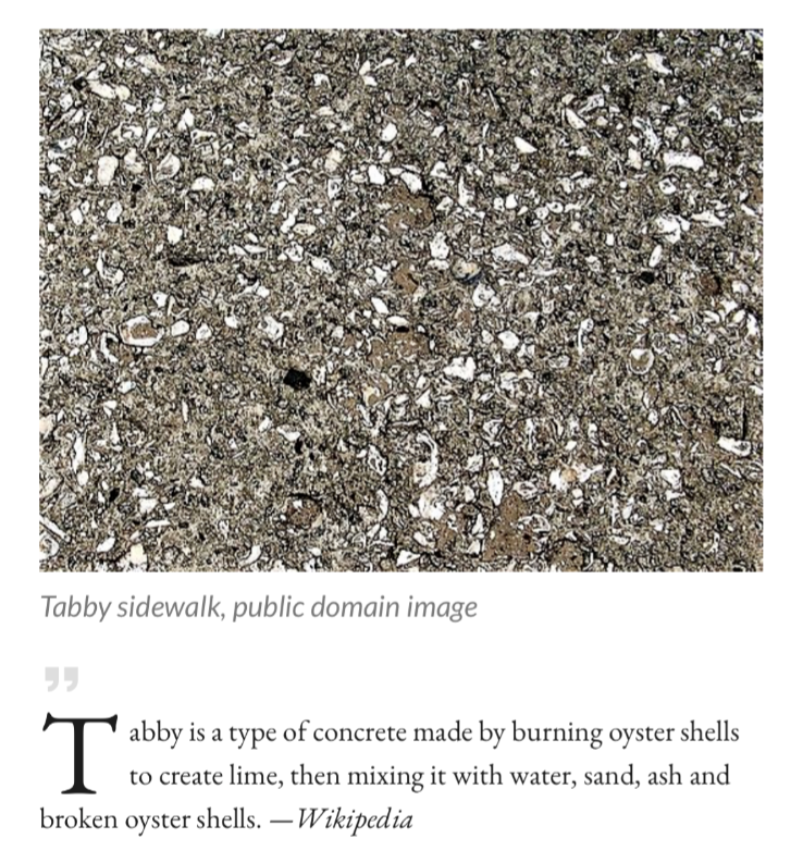 Oyster Shells for Landscaping and Concrete "Tabby Concrete" BULK by the ...