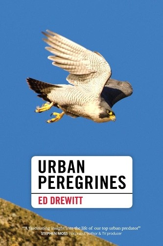 Ed Drewitt Urban Peregrines (Relié) Pelagic Monographs 9781907807817 | eBay
