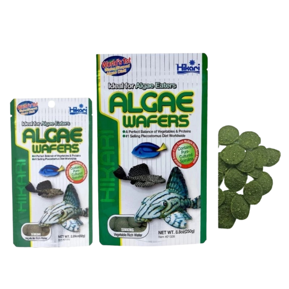 [Hikari] Algae Wafers Fish Food 250g x 1 Pack | Sinking Algae Diet for ...