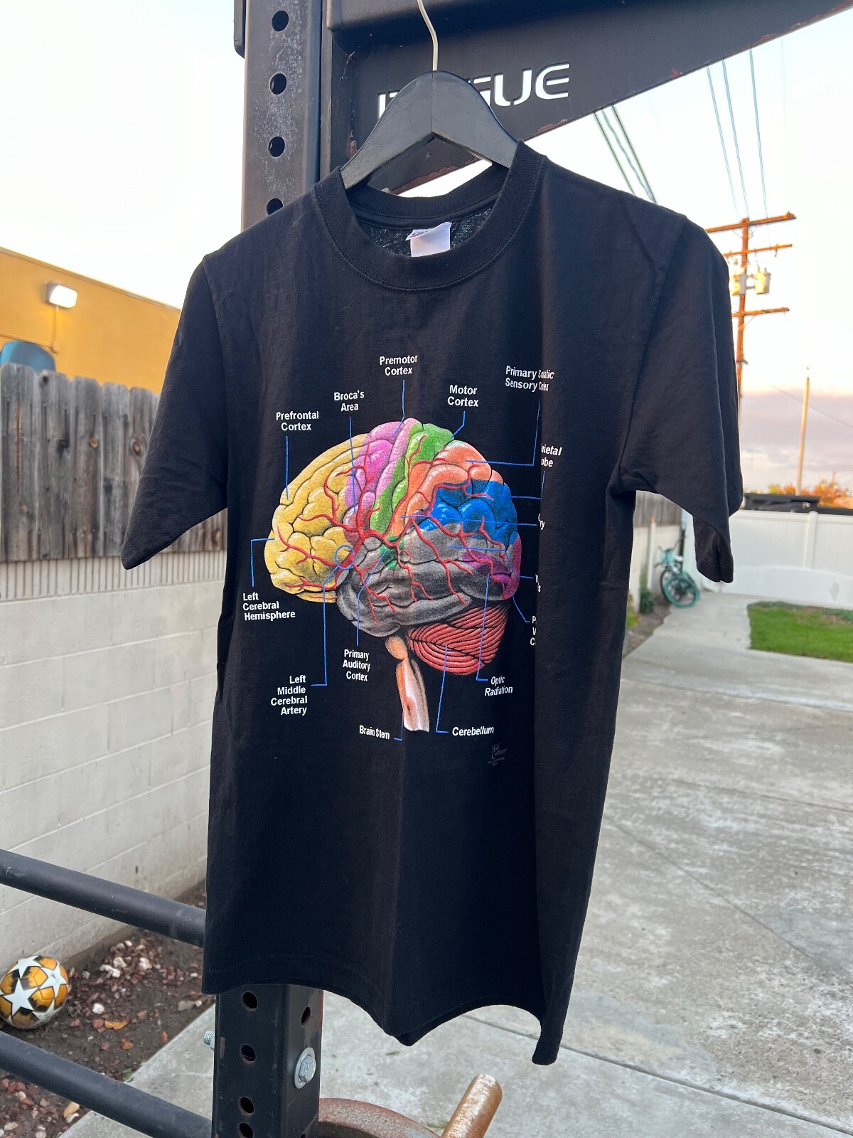 Vintage Brain Mind Prefrontal Cortex Cerebellum Art T… - Gem