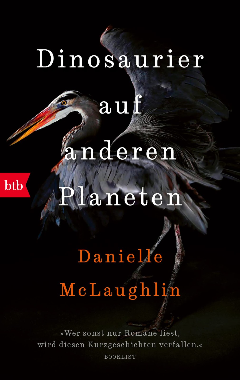 Danielle McLaughlin Silvia Mo Dinosaurier auf anderen Pl (Paperback ...