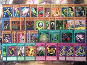 Yugioh Authentic Weevil Underwood Deck Anime 40 Cards Great Moth Insect ...