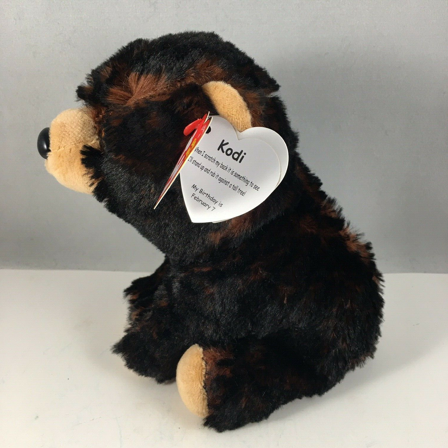 TY Beanie Baby 6" KODI Alaskan Kodiak Black Bear Plush Stuffed Animal ...