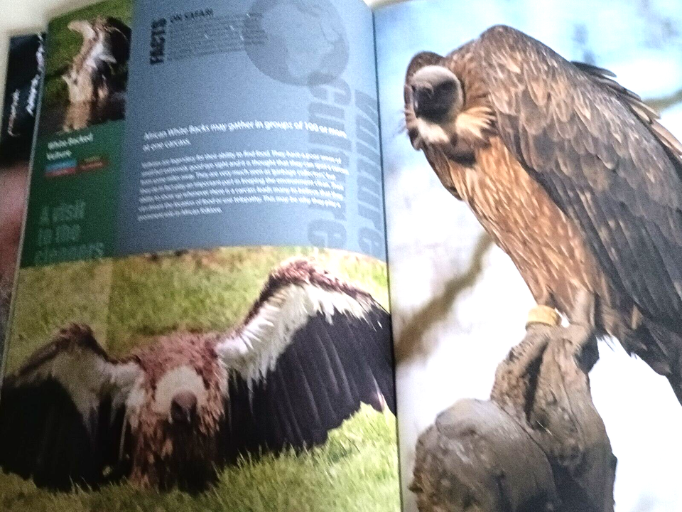 LONGLEAT SAFARI PARK VISITOR GUIDE | eBay UK