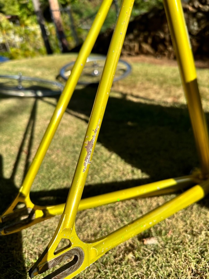 NJS APPROVED Stamped Fixed Gear PELOTON Track Bike Steel Frame Set 52cm ...