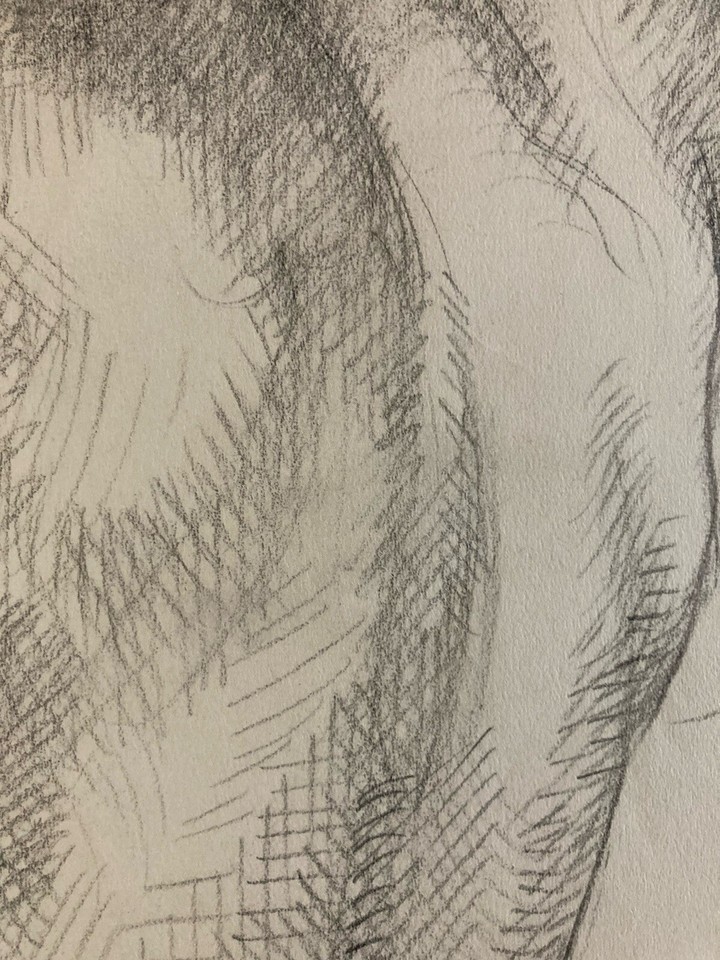 Beautiful Drawing Georges Deniker The Youngest French Cubist Nude Woman ...