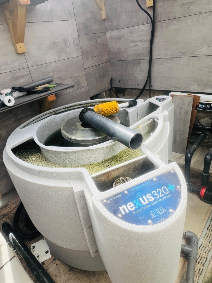 Nexus 320 (Including Media) Koi Pond Filter | eBay UK