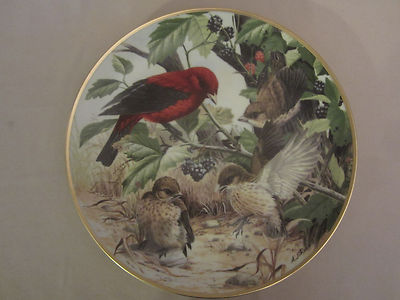 SCARLET TANAGER LEARNING FLY collector plate ANTHONY RUDISILL Birds ...